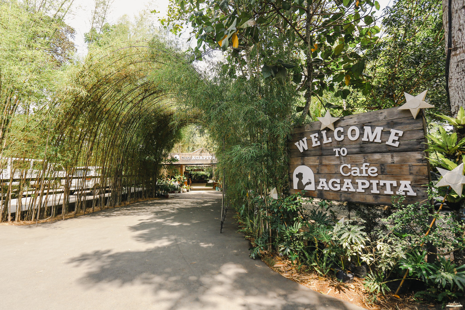 Cafe Agapita Photos
